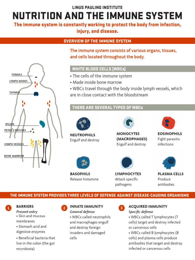 lpi-immunity-infographic-printer-friendly | PDF