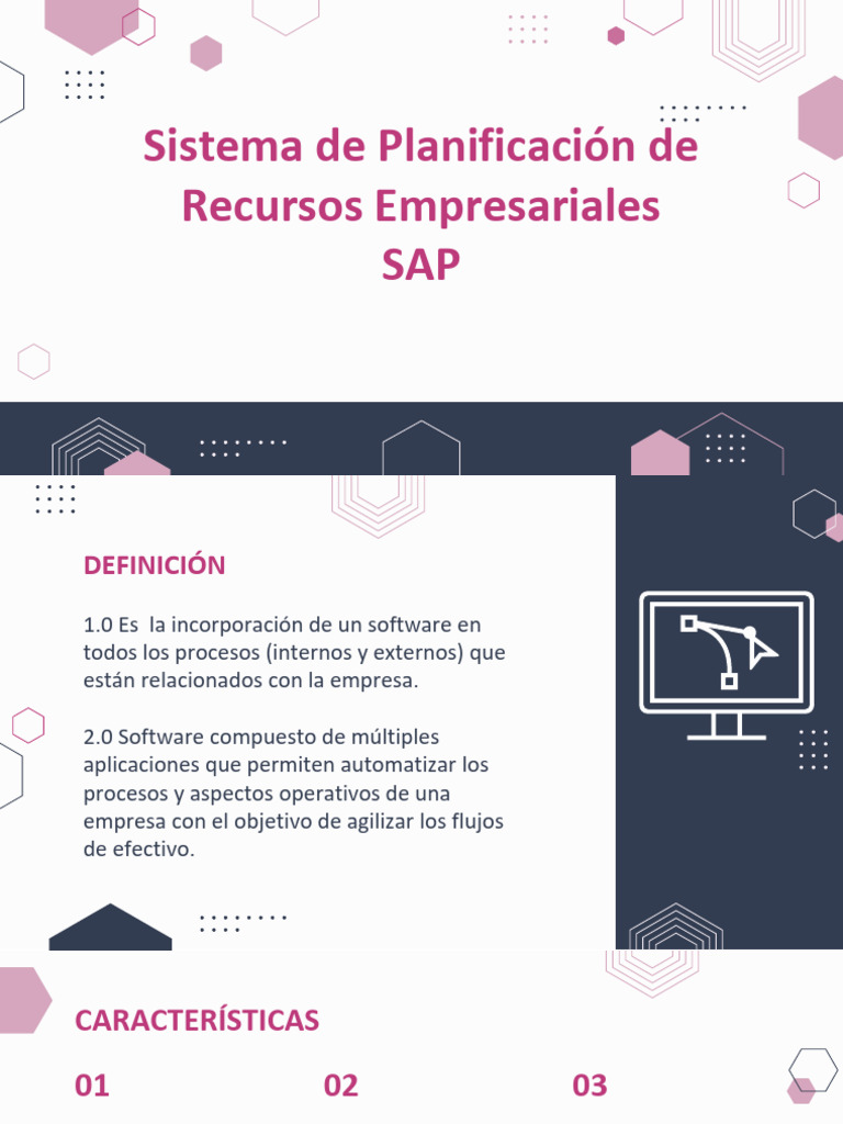 Sap | PDF