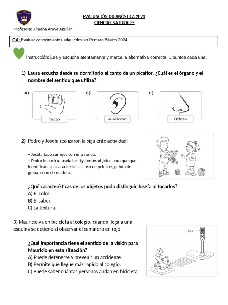 PRUEBA DIAGNOSTICO CIENCIAS 2024 SEGUNDO | PDF