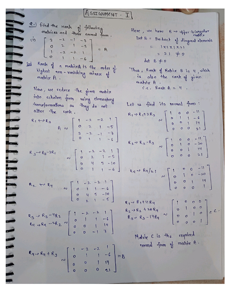 Chapter 1 Assignment Solutions - Priya Rajput | PDF