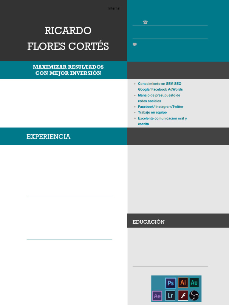 CV Ricardo Flores 2024-1 | PDF