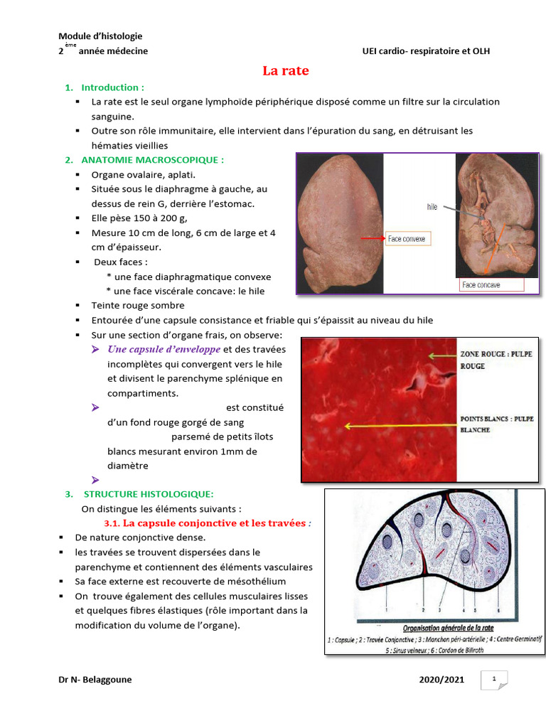 cours_de_la_rate | PDF