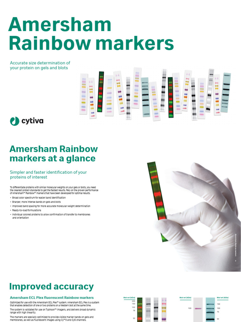 Rainbow Markers | PDF