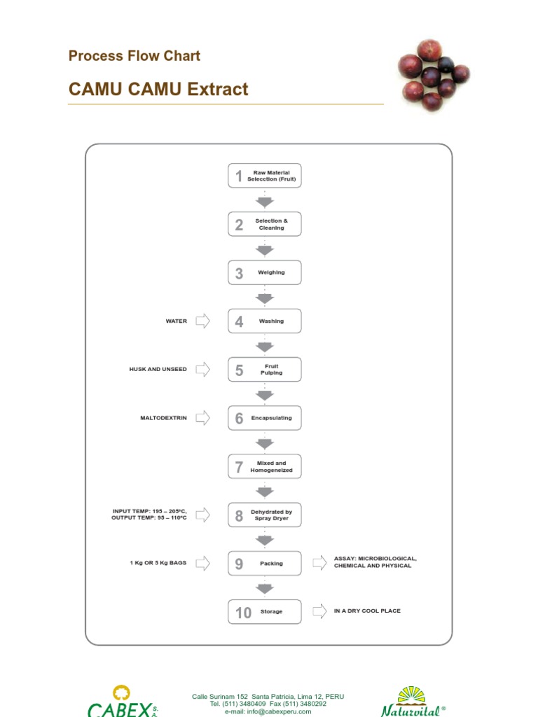 Camu Camu Dry Atomized Extract Powder Processing Flow Chart | PDF ...