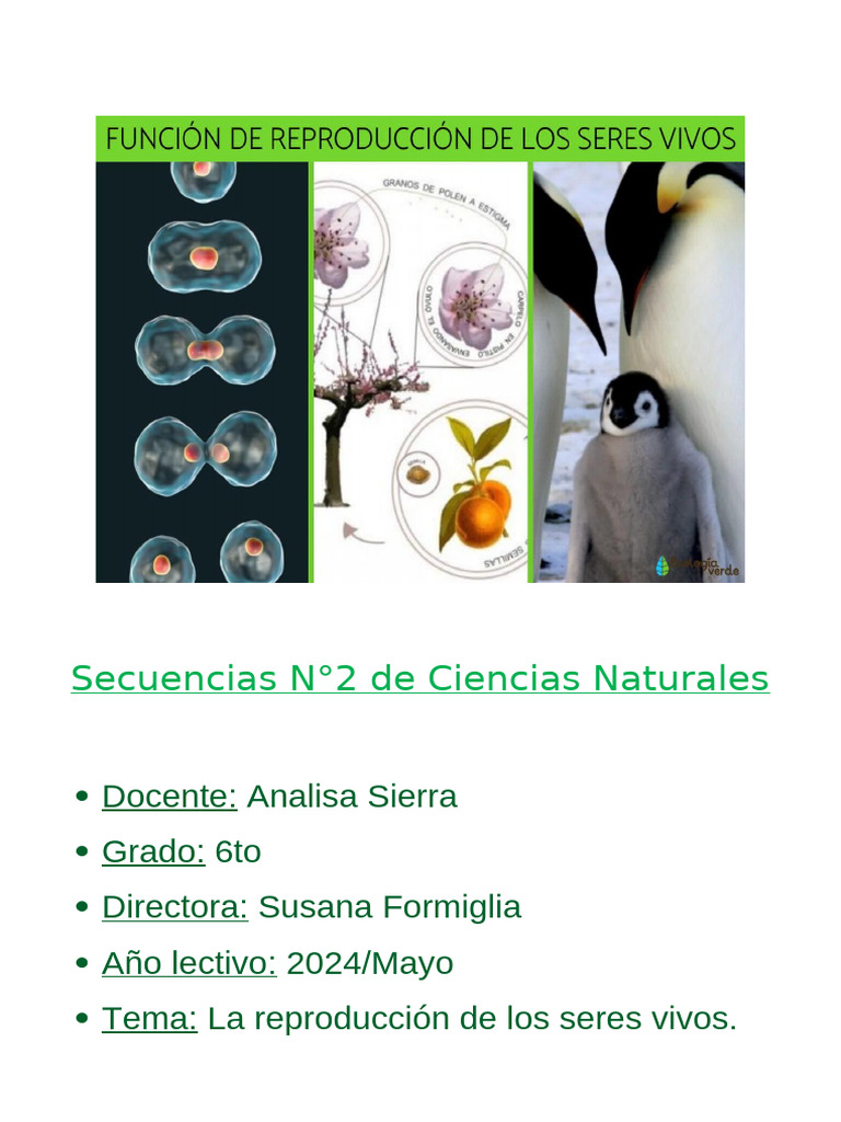 Secuencia Didáctica: Reproducción en 6° Grado | PDF | Reproducción ...