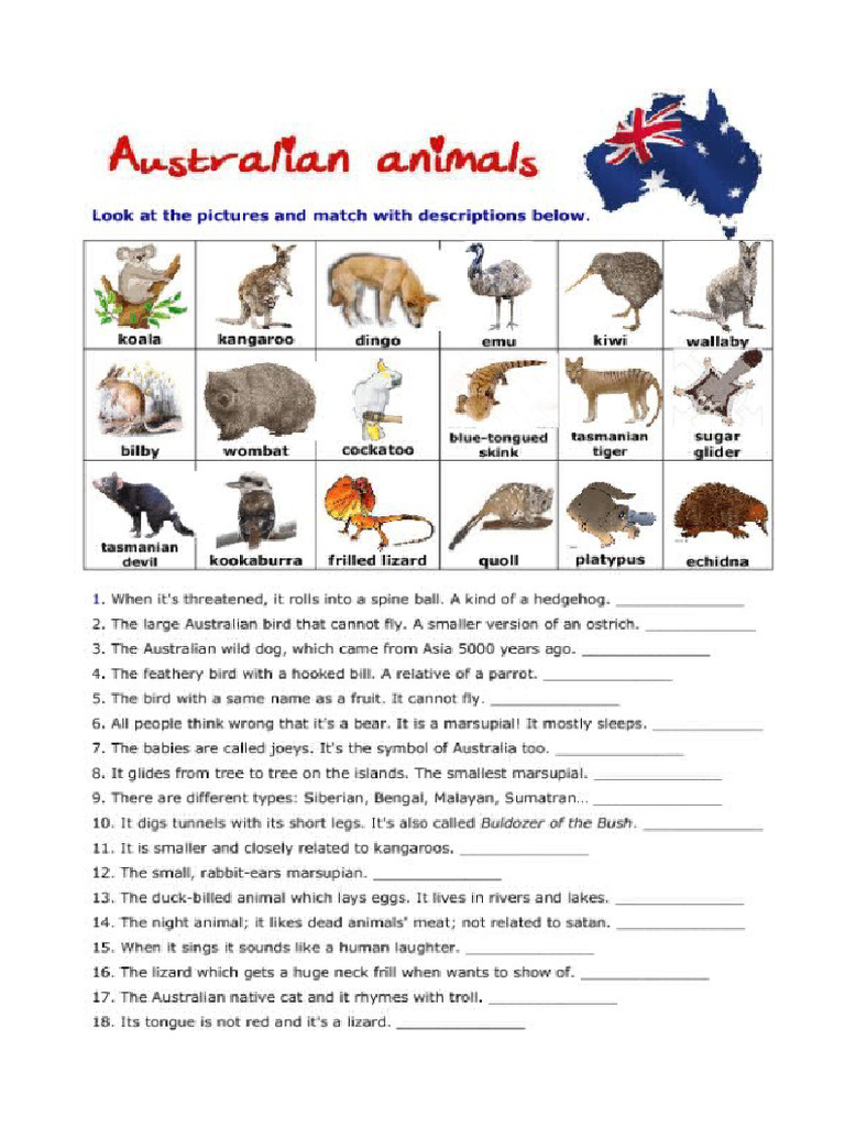 Australian Animals Quiz | PDF