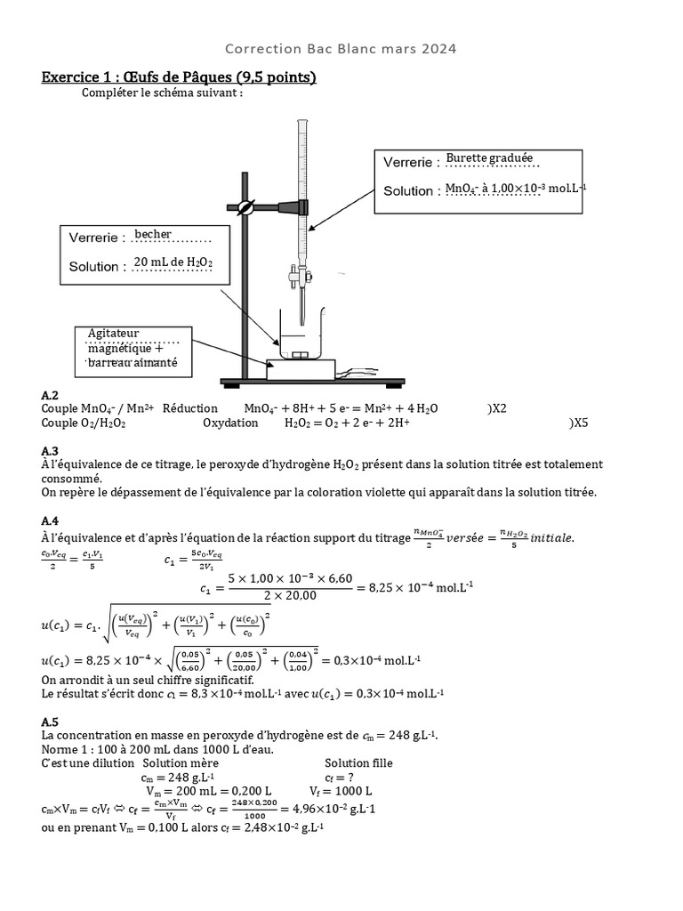 Corrig Bac Blanc Mars 2024 | PDF