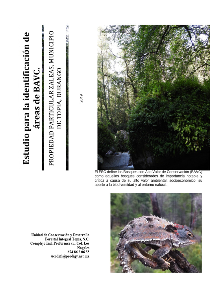 Estudio de Bvac PP - Zaleas - 2024 | PDF