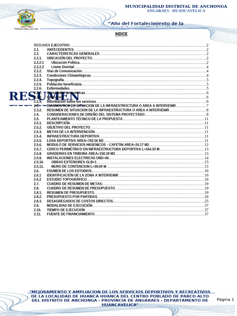 02. RESUMEN EJECUTIVO OK | PDF