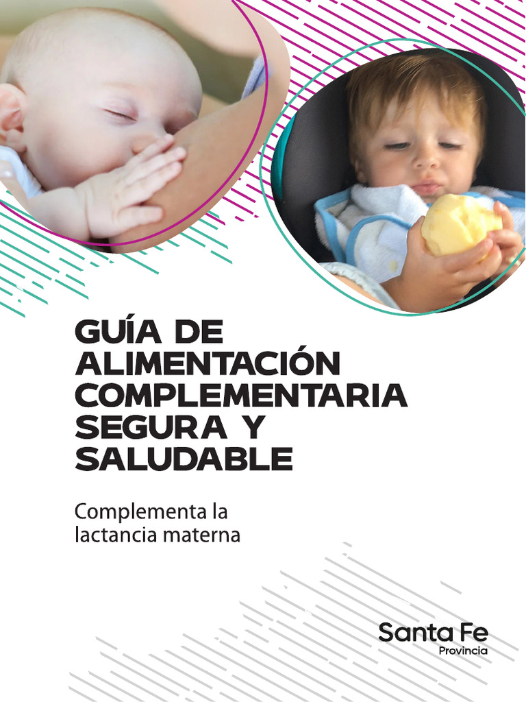 Guia Alimentacion Complementaria | PDF