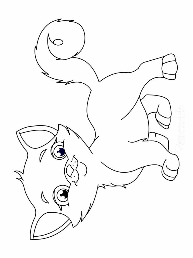Cat Coloring Pages Cute Eyes Fluffy Tail | PDF