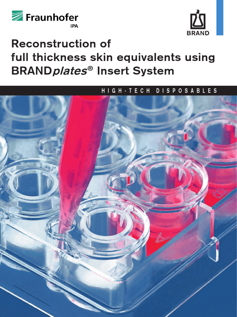 Insert System FullSkin | PDF