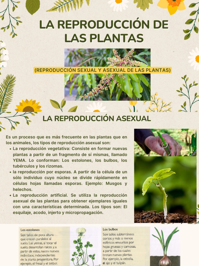 La Reproducción de Las Plantas | PDF