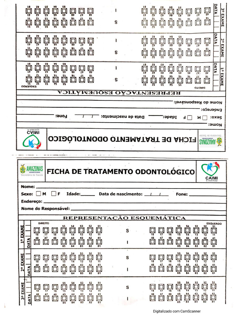 Ficha de Tratamento Odontológico | PDF