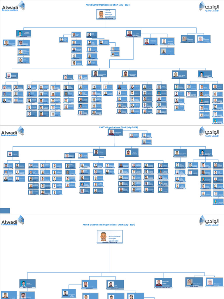 Organizational Chart V 24.7 | PDF