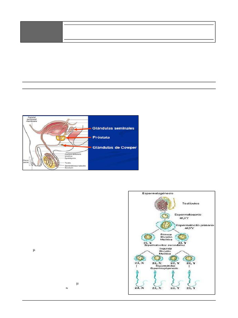 Bq18-Otros L Quidos | PDF