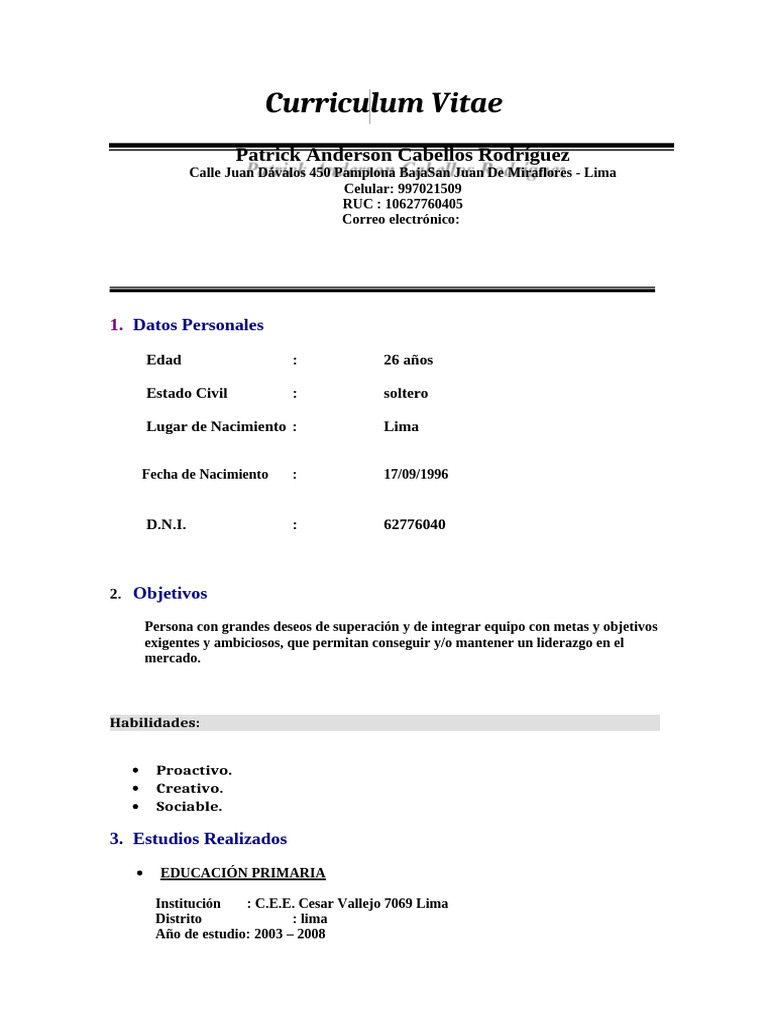 Curriculum Anderson Cabellos 01 | PDF