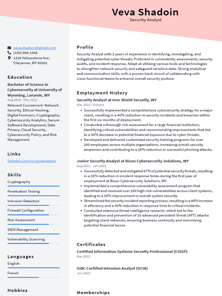 Security Analyst Resume Example | PDF | Security | Computer Security