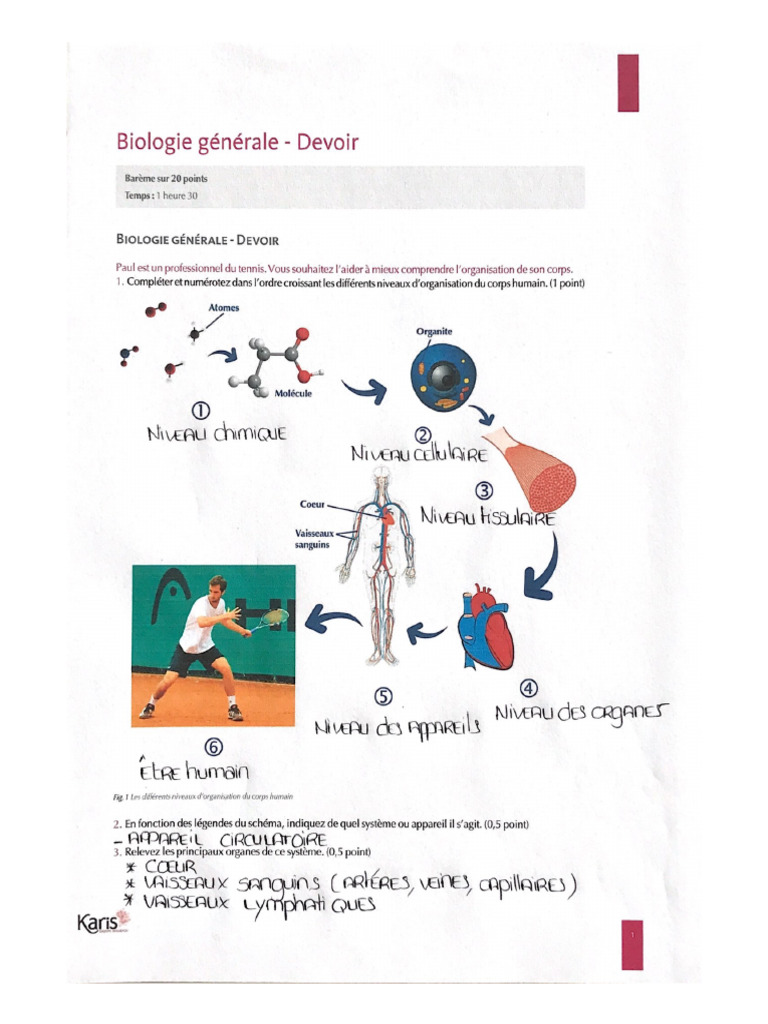 Biologie Générale - Devoir | PDF