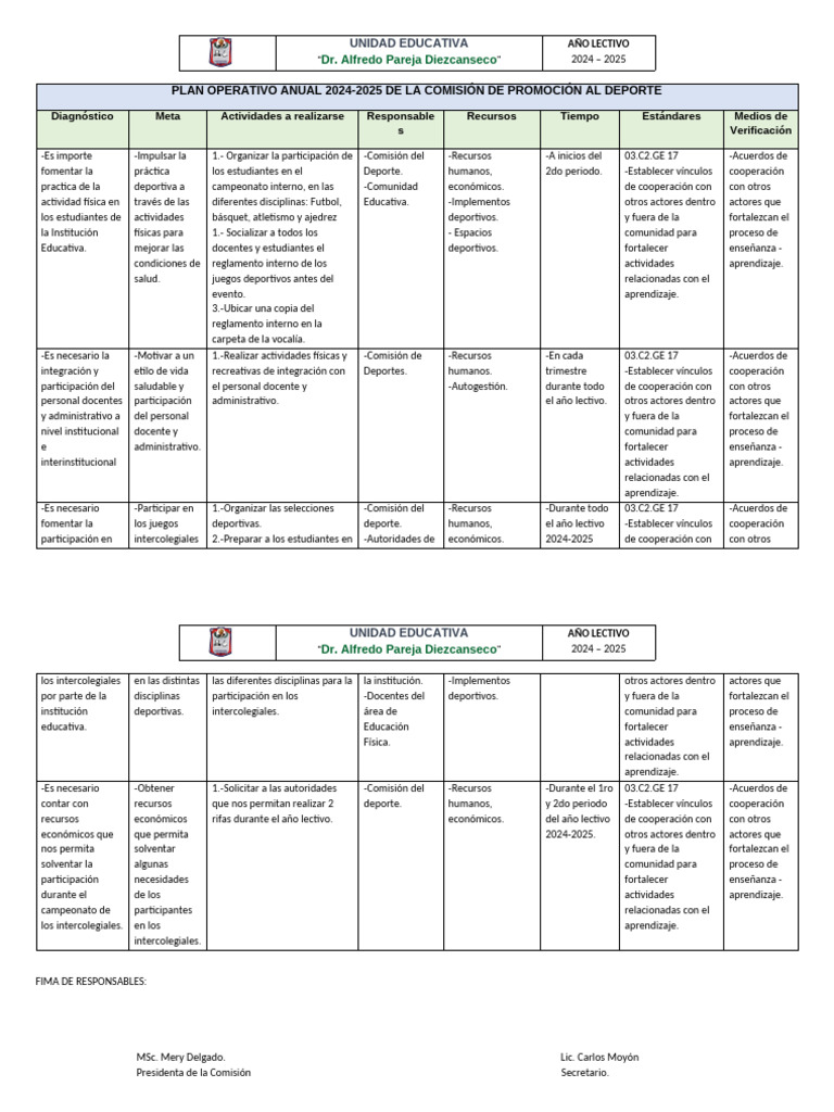 Plan Operativo Anual 2024 | PDF
