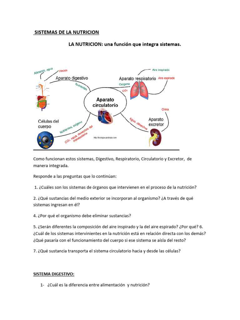 t Practico Sistemas de La Nutricion. | PDF