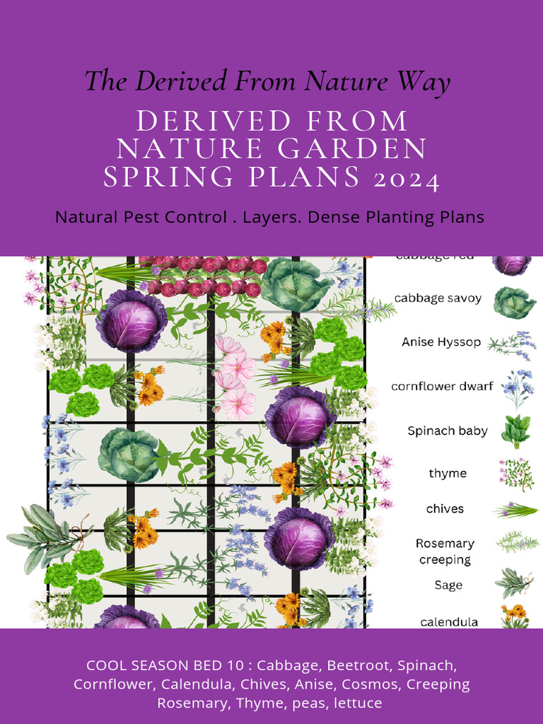 Spring Garden Plan 10 | PDF