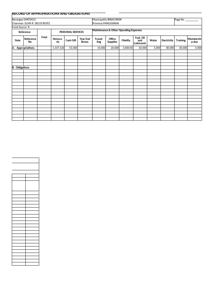 Record of Appropriations and Obligations | PDF