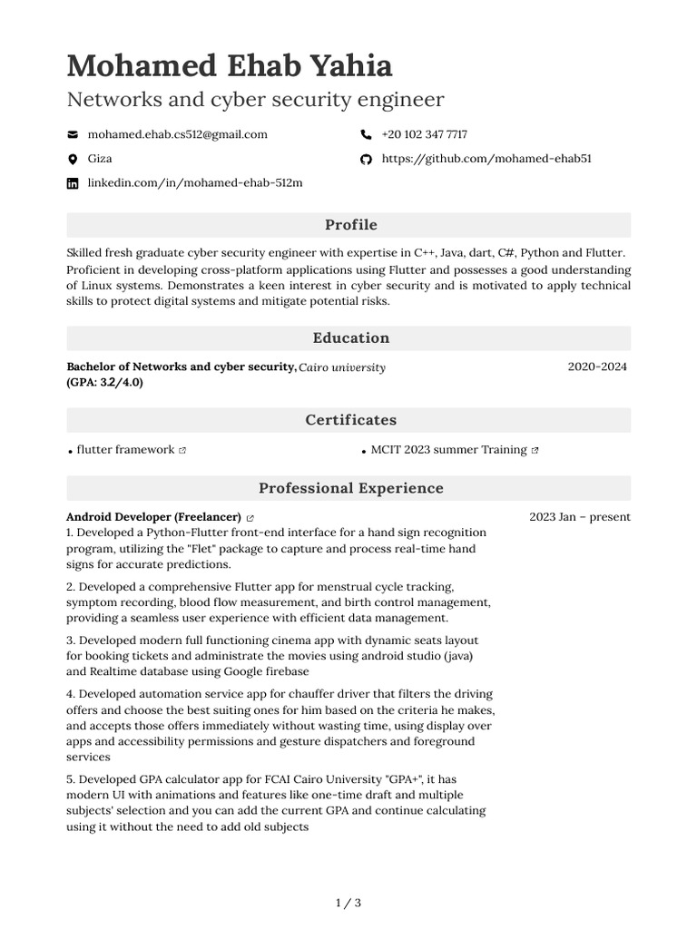 Mohamed Ehab-CV | PDF