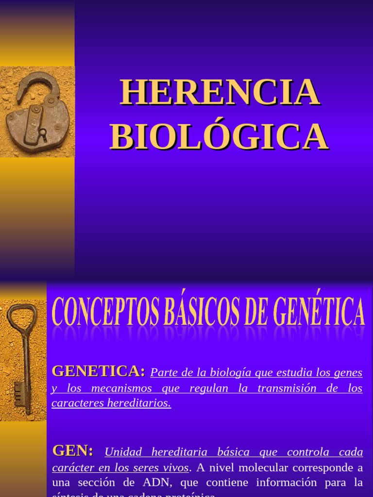 Conceptos de Herencia | PDF