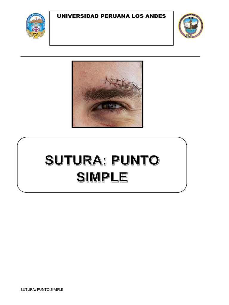 2.-Guia para Sutura Punto Simple | PDF