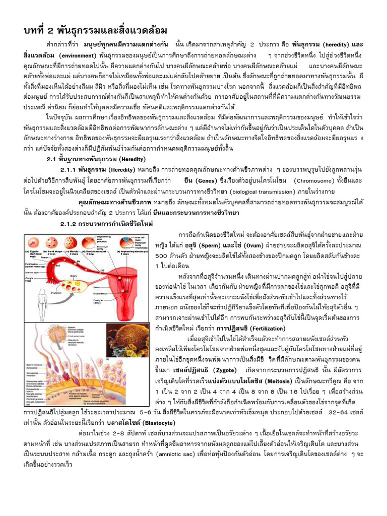 เอกสารGS101 บทที่ 2 - 57 | PDF