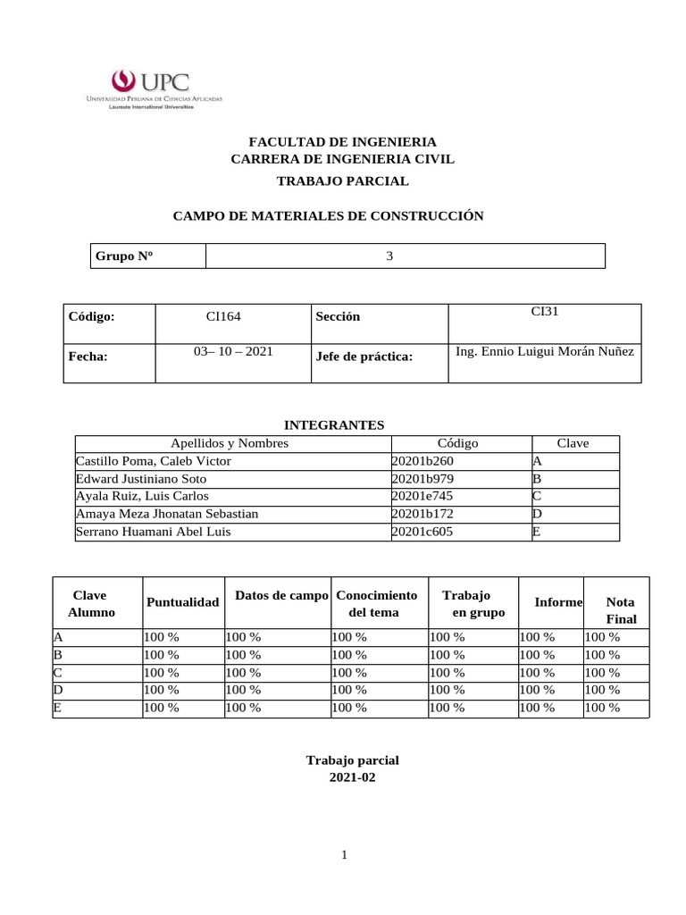 TP INFORME Grupo3 | PDF