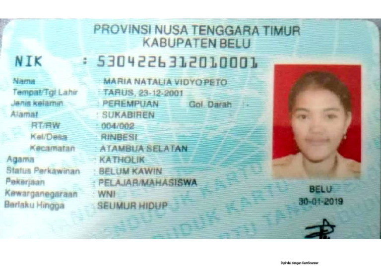 KTP-Maria Natalia v. Peto | PDF