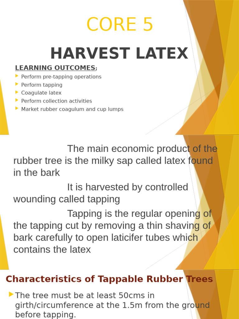 Core 5 Harvest Latex | PDF