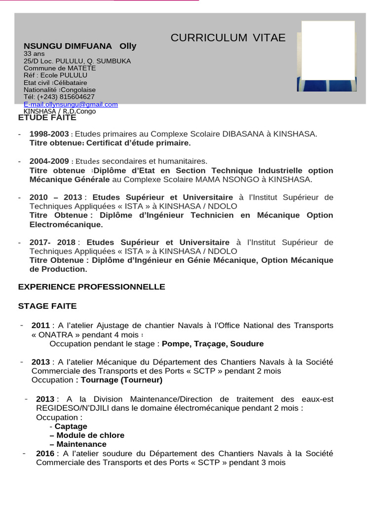 Curriculum vitae agent en formation | PDF