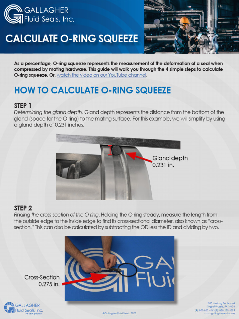 O-Ring Squeeze Calculation Guide | PDF | Mechanical Engineering ...