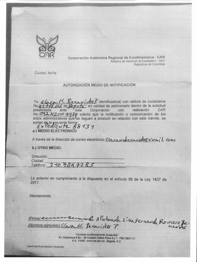 Poder Lina Romero | PDF