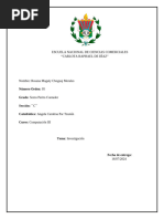 Declaraguate - Descripcion | PDF