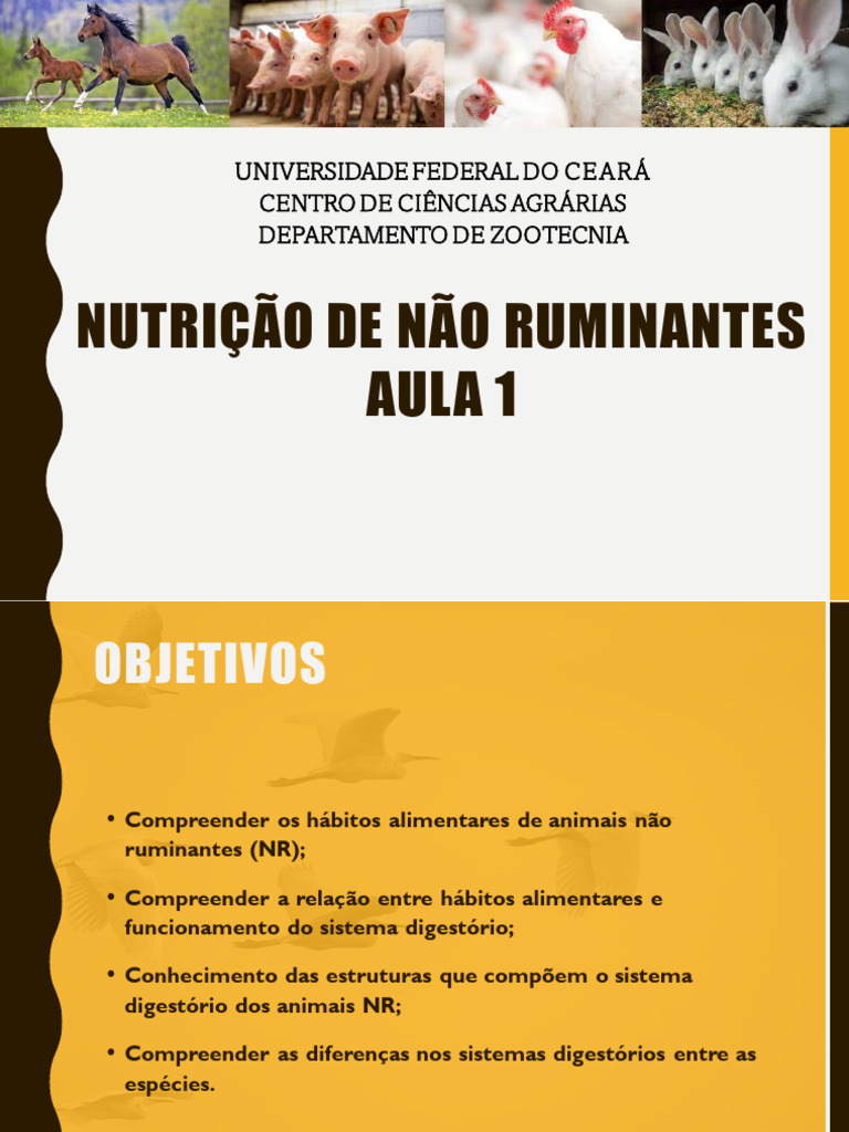 Aula 1 - NNR | PDF