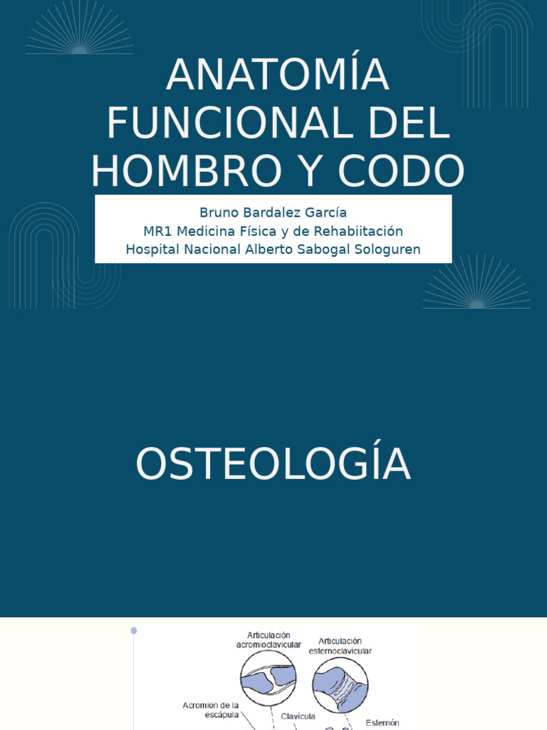 Anatomia Funcional | PDF