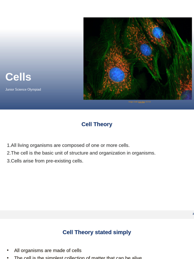 Cells | PDF