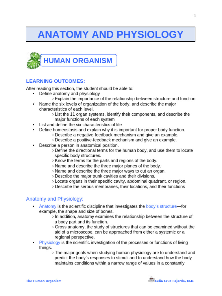 Blob | PDF