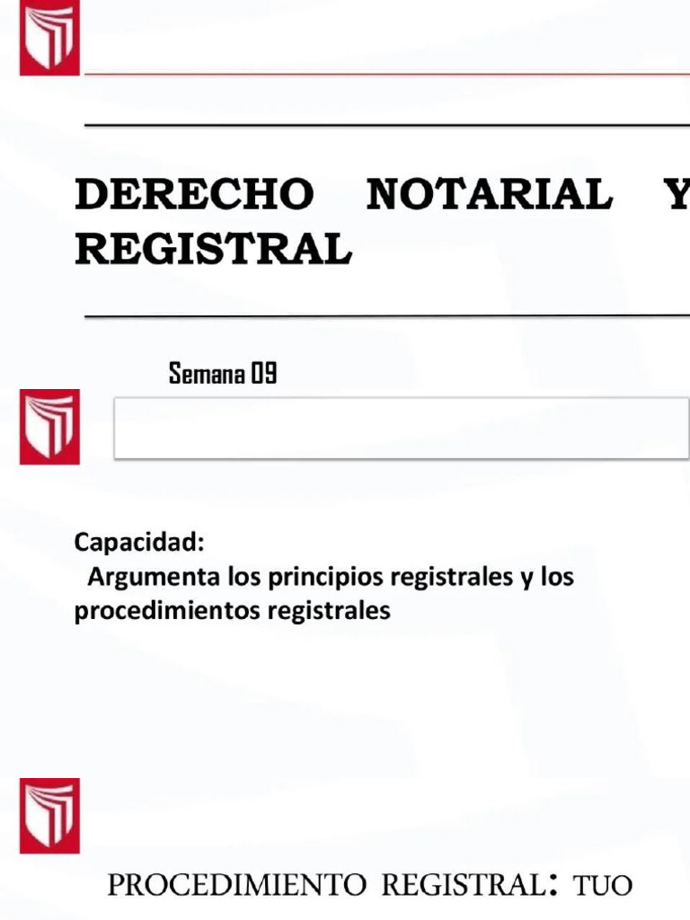 Derecho Notarial y Registral | PDF