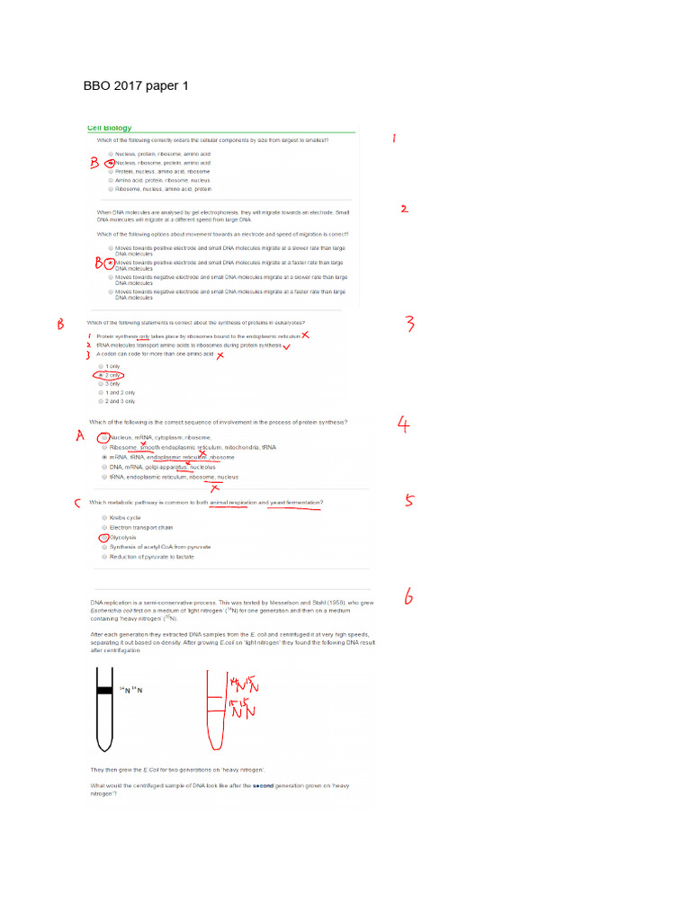 2017 BBO With Answer | PDF