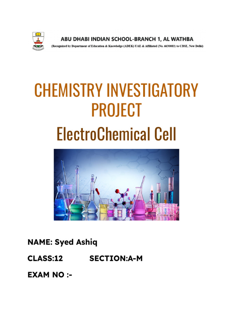 Syed Ashiq Investigatory Project | PDF