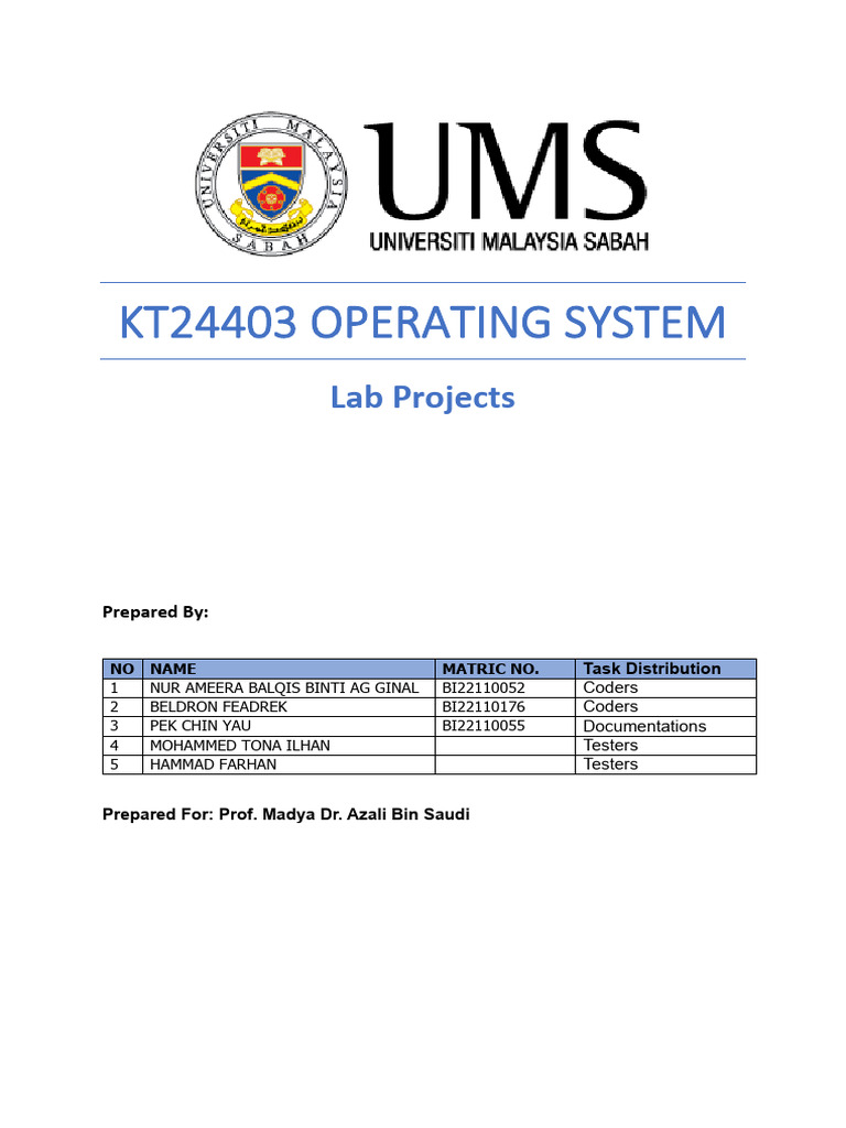 OS Lab Project | PDF