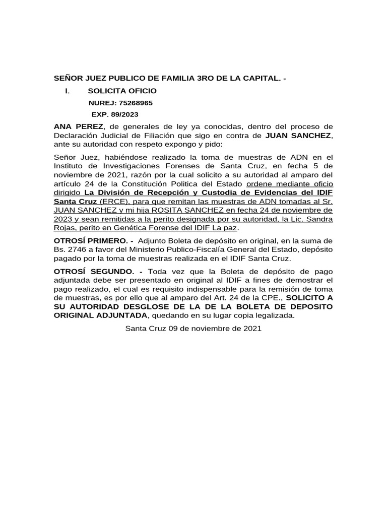 Solicita Oficio IDIF | PDF