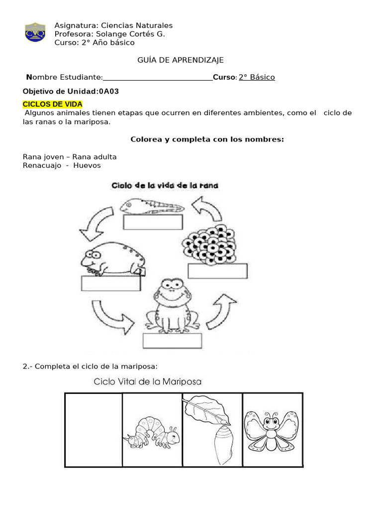 Guia Ciencias Naturales - Ciclos de Vida | PDF