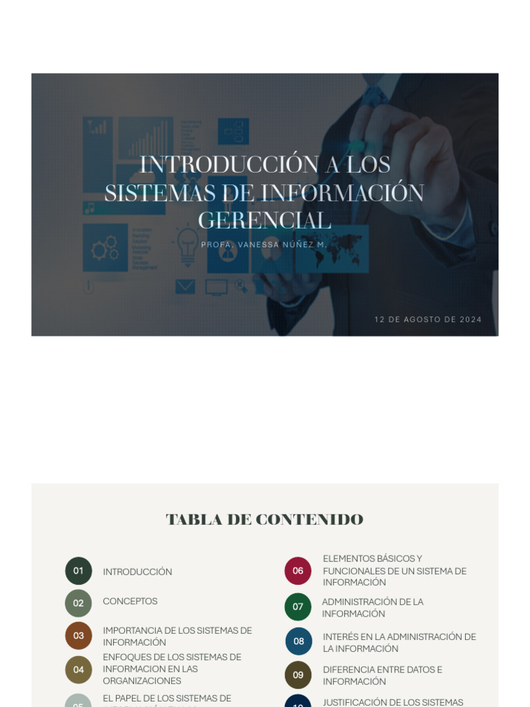 Introduccion A Los Sistemas de Informacion Gerencial | PDF