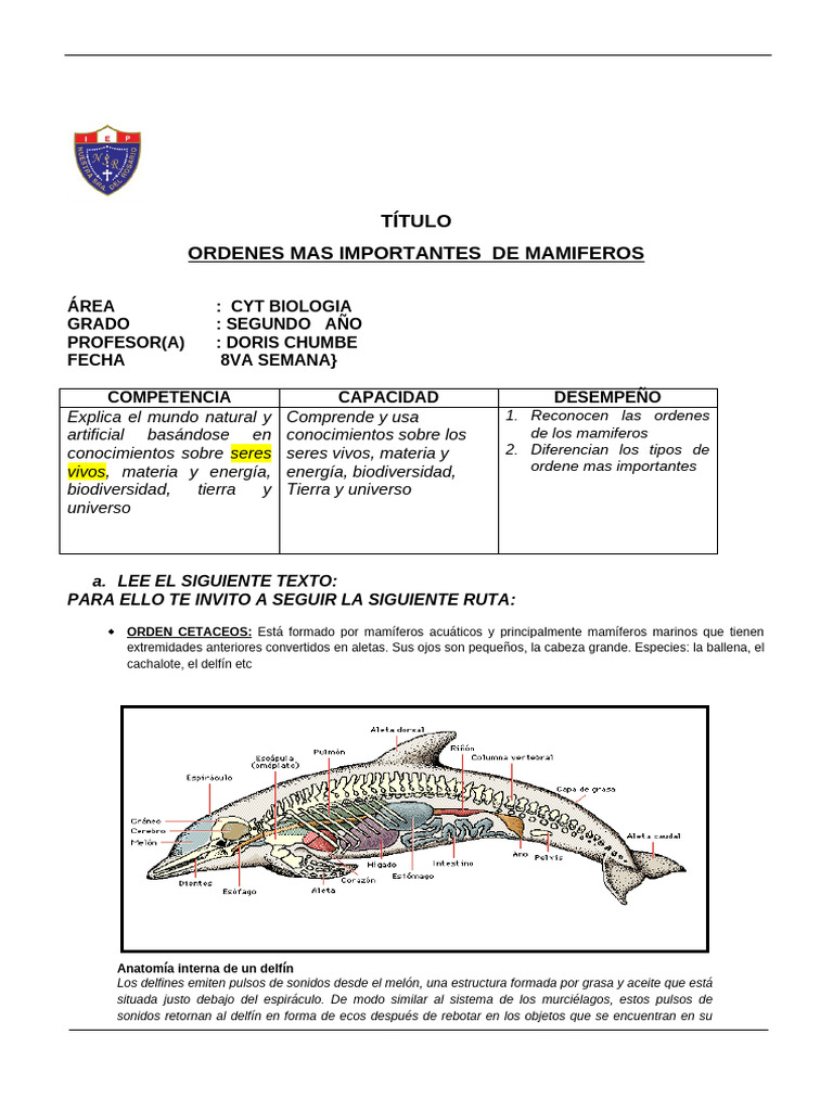 Órdenes Principales de Mamíferos | PDF | Murciélago | Pinnípedo